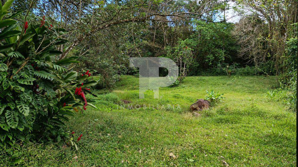 Lote en Bajo Los Rodríguez, San Ramón. JRC12 - TP INMOBILIARIA